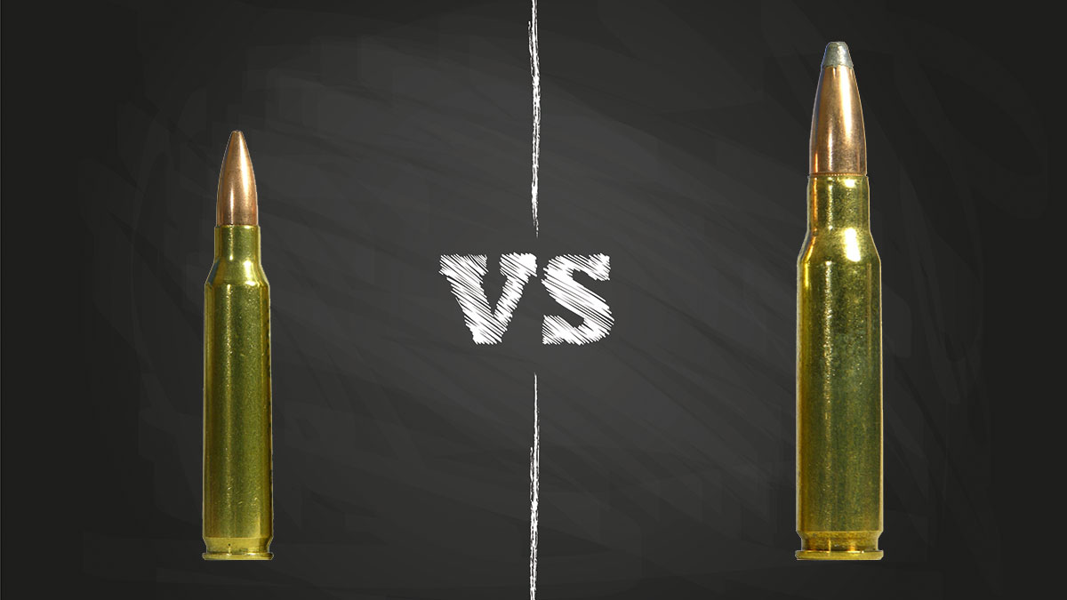 .223 vs .308 - Which Caliber is Best? - Prepper Press