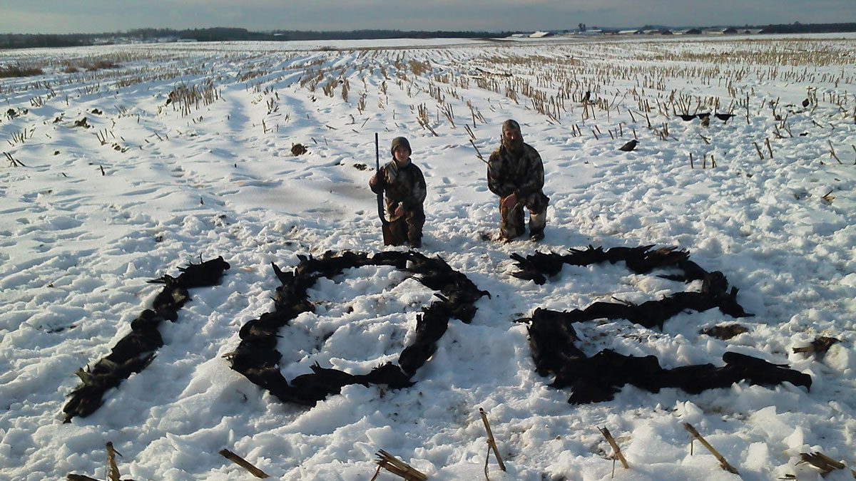 Can You Eat Crow? Yes! 3 Ways to Procure Crow Meat - Prepper Press