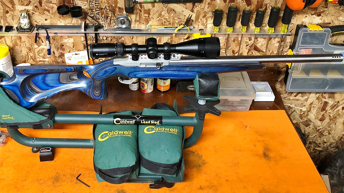 Ruger 10/22 Stocks - Should You Change Yours? - Prepper Press